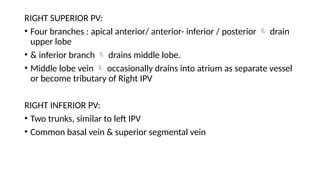 anatomy and physiology tracheobronchial tree and lungs chest wall.pptx
