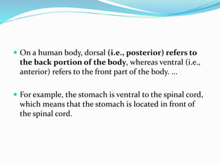 ANATOMY AND PHYSIOLOGY UNIT- 1 INTRODUCTION new.pptx