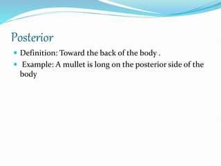 ANATOMY AND PHYSIOLOGY UNIT- 1 INTRODUCTION new.pptx