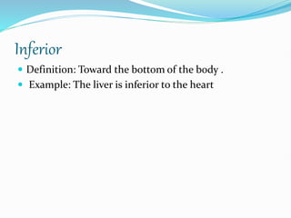 ANATOMY AND PHYSIOLOGY UNIT- 1 INTRODUCTION new.pptx