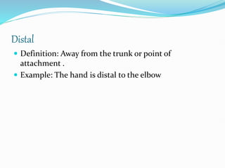 ANATOMY AND PHYSIOLOGY UNIT- 1 INTRODUCTION new.pptx