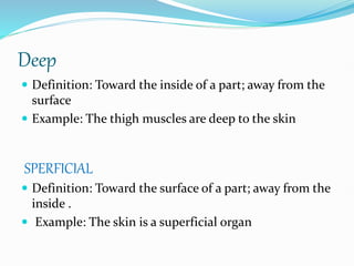 ANATOMY AND PHYSIOLOGY UNIT- 1 INTRODUCTION new.pptx