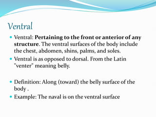 ANATOMY AND PHYSIOLOGY UNIT- 1 INTRODUCTION new.pptx