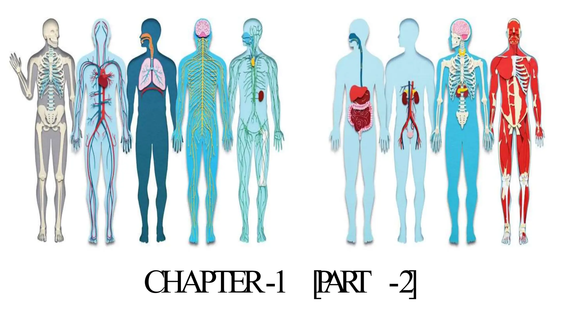 ANATOMY AND PHYSIOLOGY UNIT 1 {PART-2} | PPTX