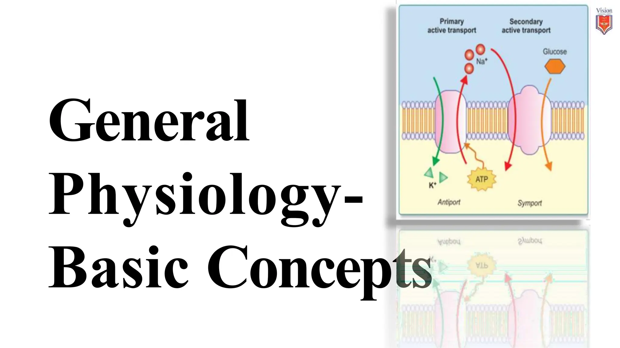 ANATOMY AND PHYSIOLOGY UNIT 1 {PART-2} | PPTX
