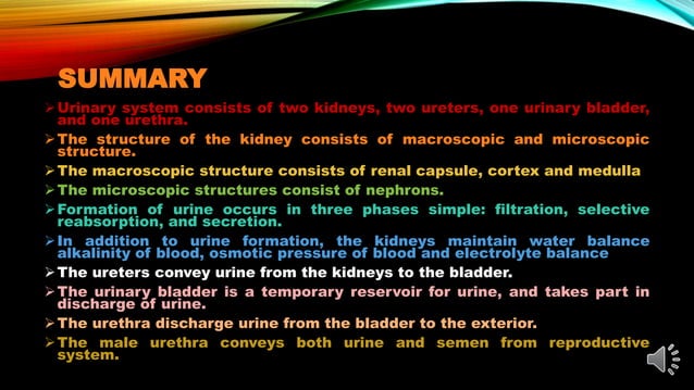Anatomy and physiology (urinary system) | PPTX | Chemistry | Science