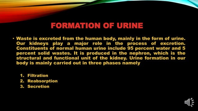 Anatomy and physiology (urinary system) | PPTX | Chemistry | Science