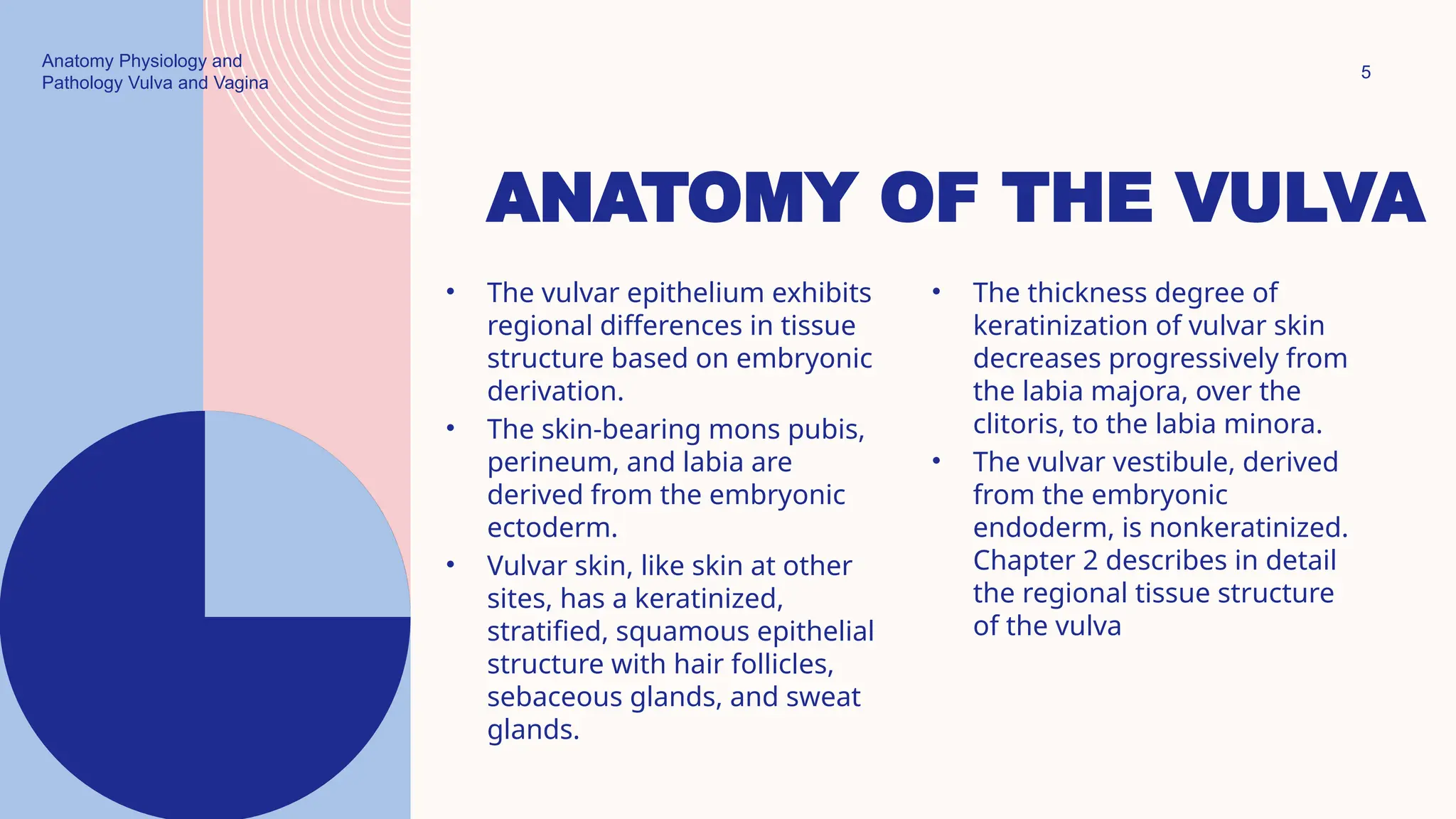 Anatomy and physiology vulva vagina.pptx