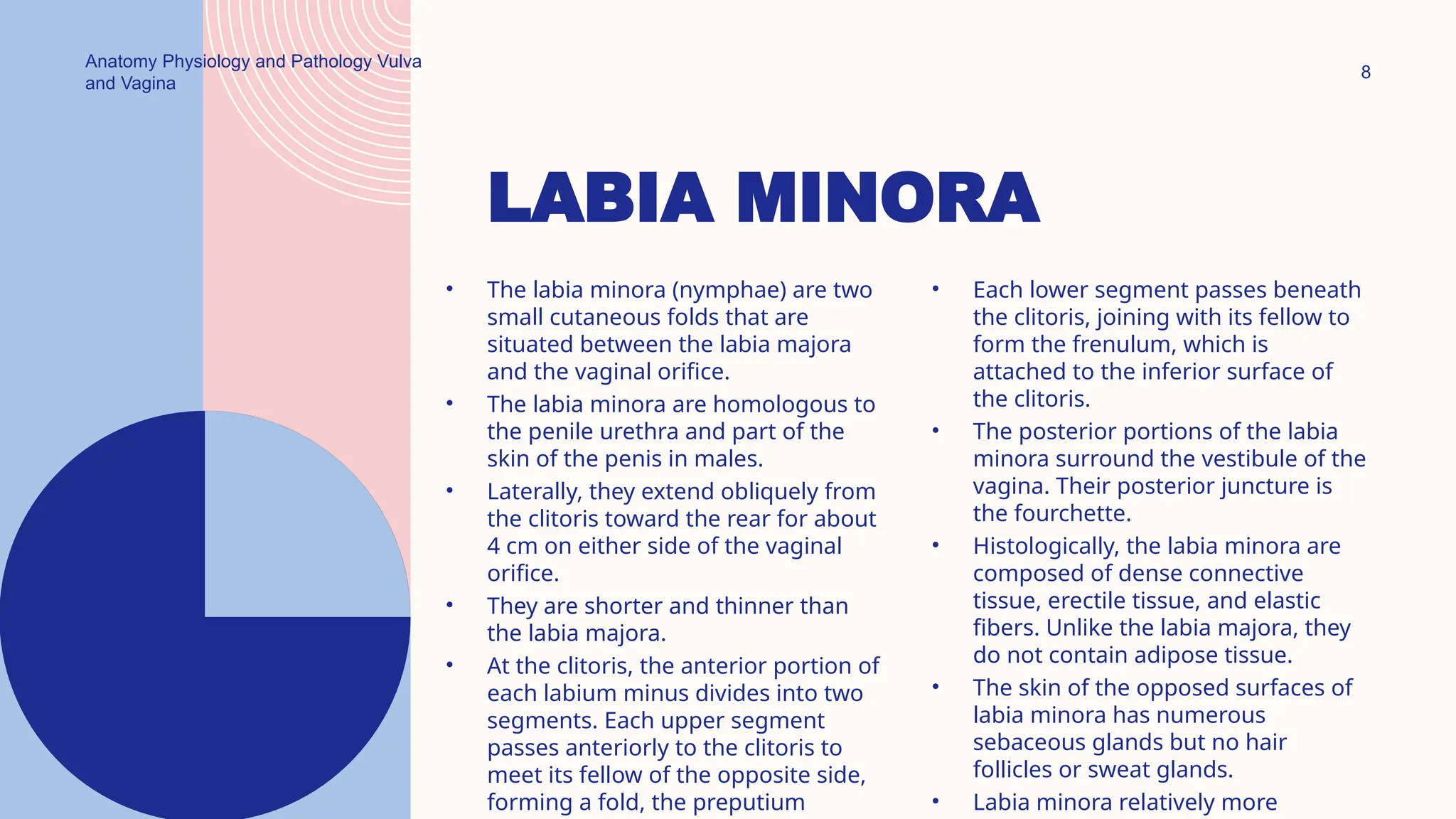 Anatomy and physiology vulva vagina.pptx