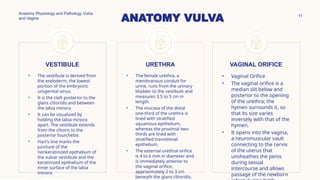 Anatomy and physiology vulva vagina.pptx