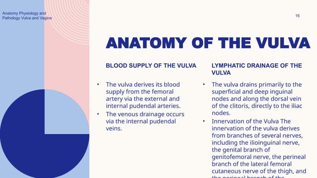 Anatomy and physiology vulva vagina.pptx