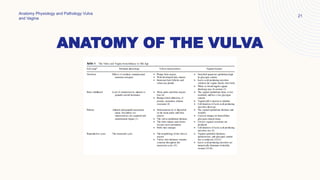 Anatomy and physiology vulva vagina.pptx
