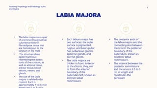 Anatomy and physiology vulva vagina.pptx