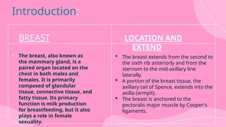 Anatomy and physio IN BREAST CANCER AND RELATED GYNO CNACERS | PPTX