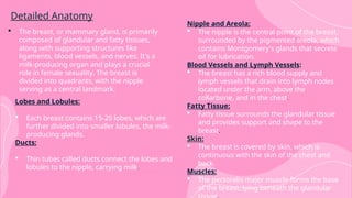 Anatomy and physio IN BREAST CANCER AND RELATED GYNO CNACERS | PPTX
