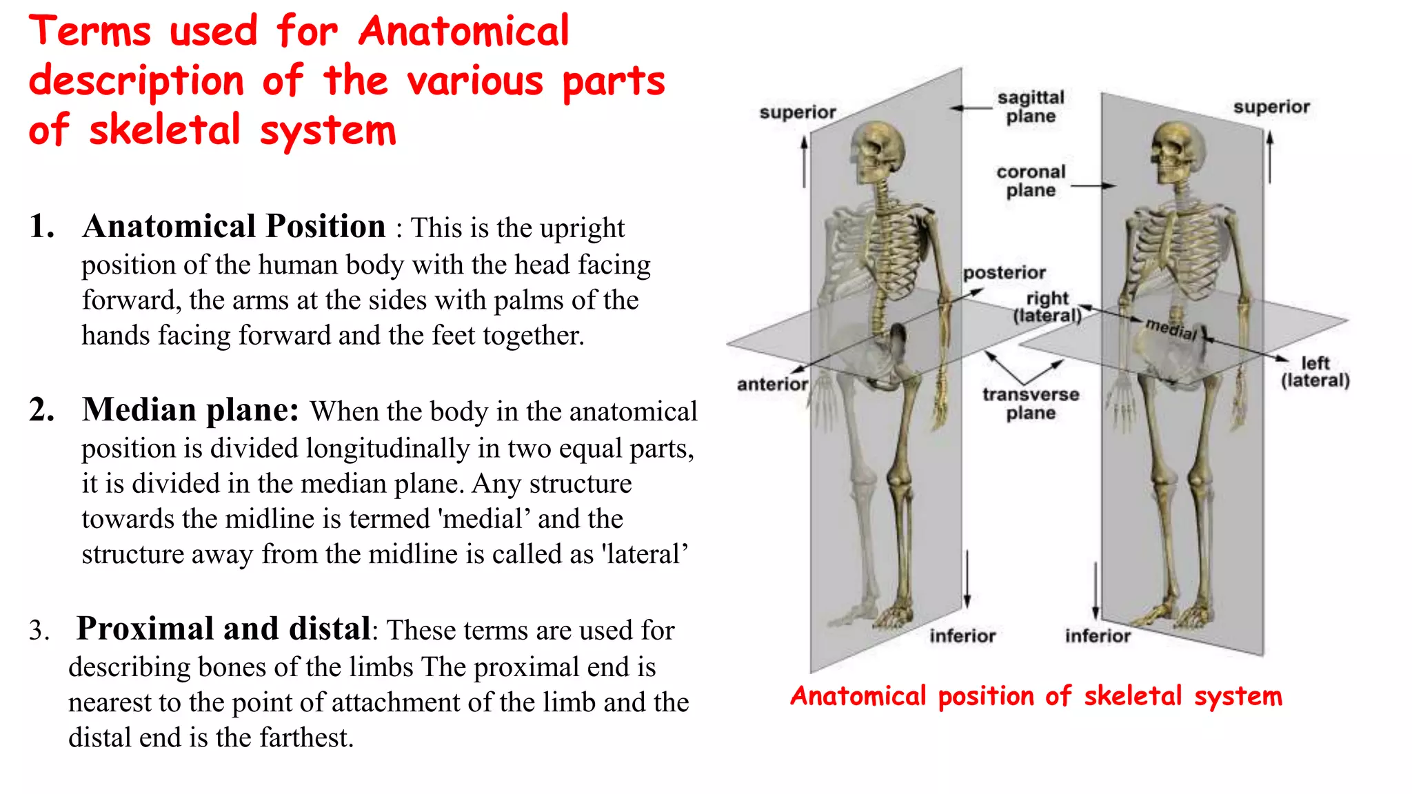 Anatomy and Physiplogy.pptx