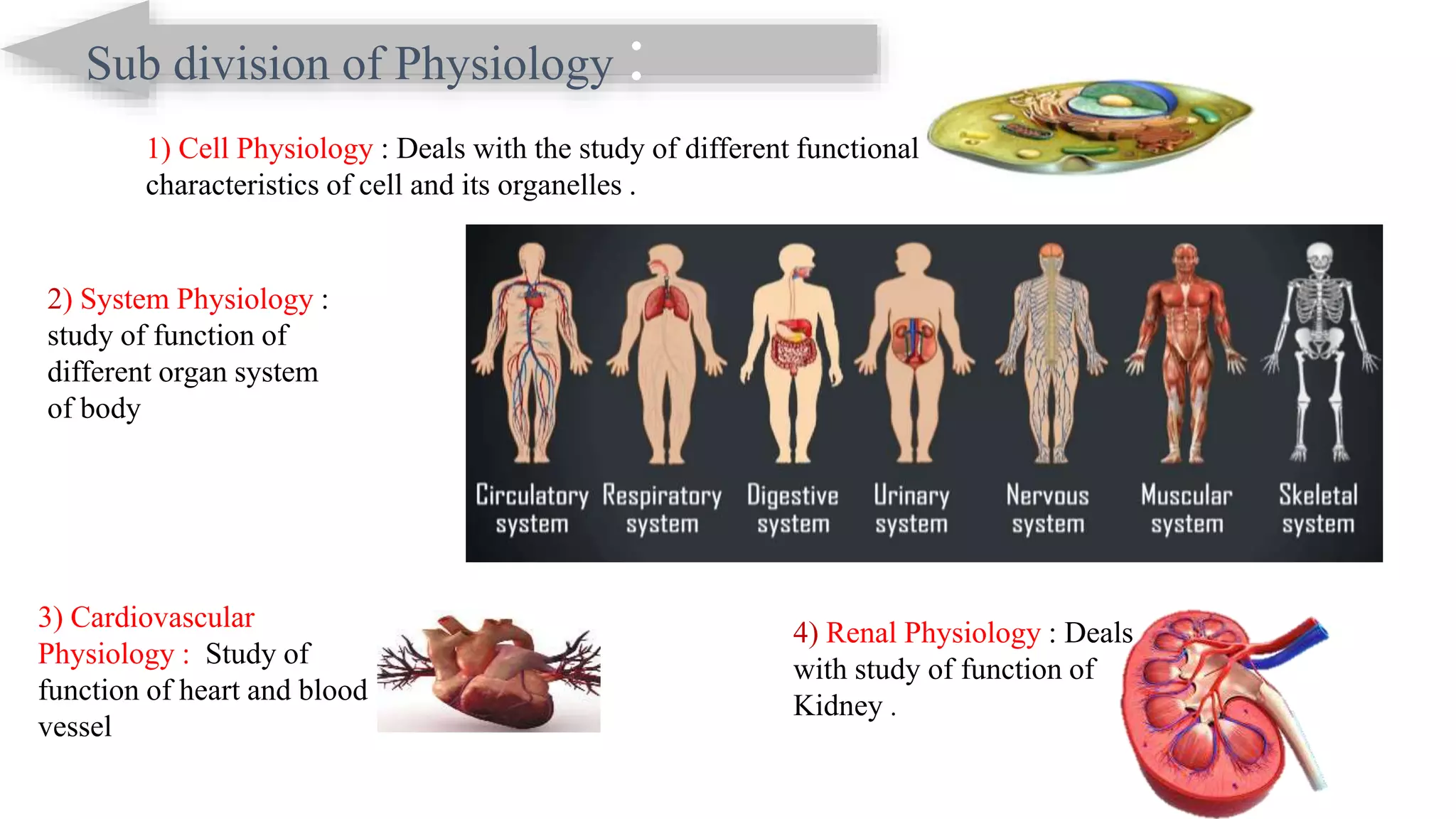 Anatomy and Physiplogy.pptx