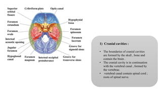 Anatomy and Physiplogy.pptx