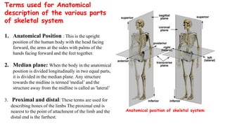 Anatomy and Physiplogy.pptx