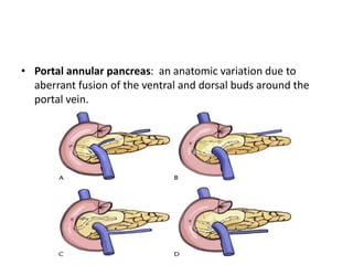 Anatomy And Physoilogy of the Pancreas.pptx