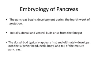 Anatomy And Physoilogy of the Pancreas.pptx