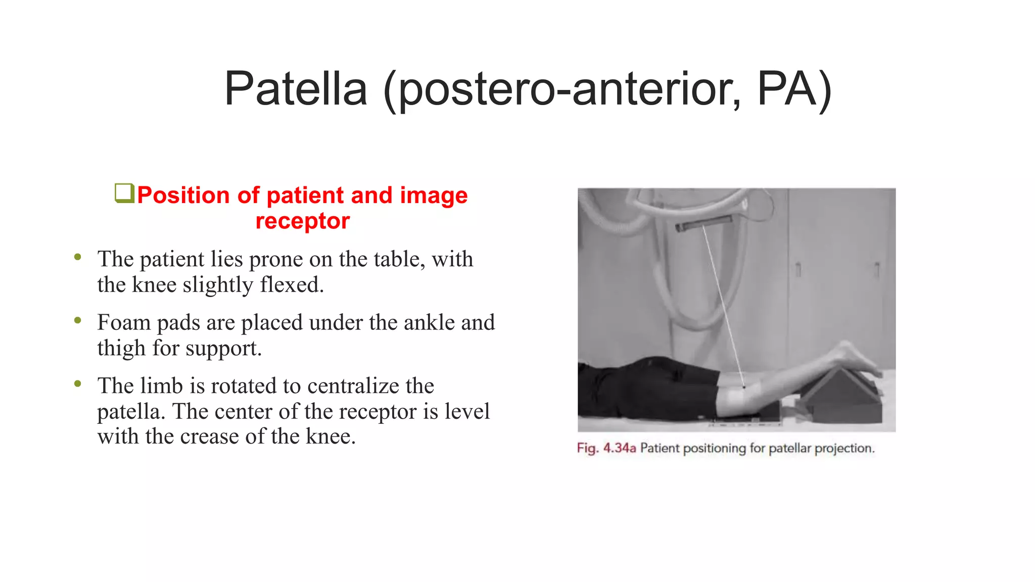 ANATOMY AND POSITIONING OF KNEE.pptx