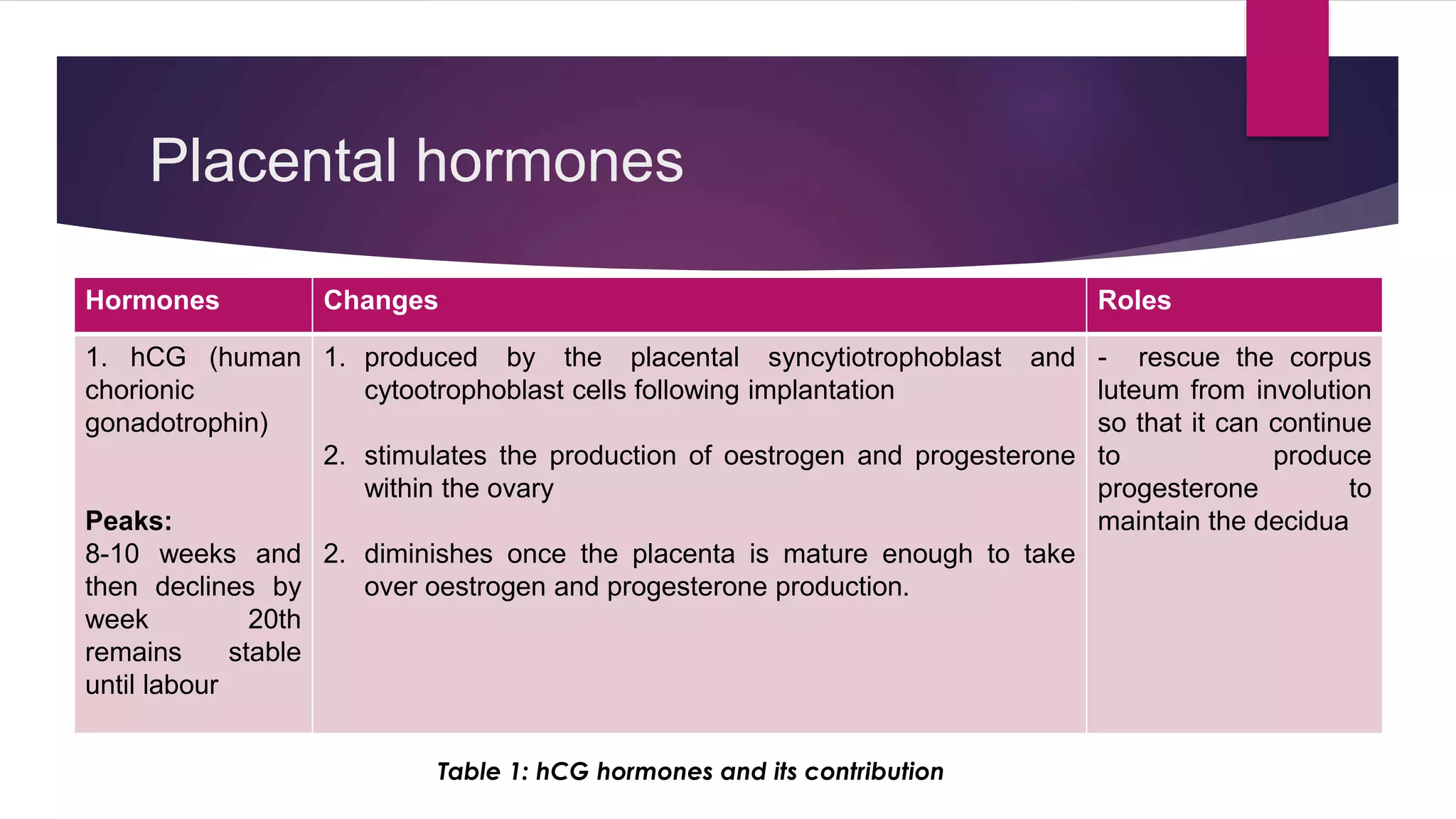 Anatomy and physiological changes in pregnancy | PPTX