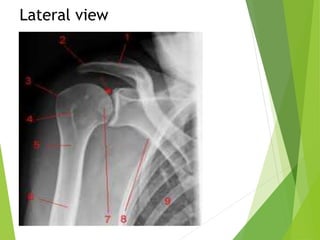 Anatomy and Radiography of shoulder and arm | PPTX