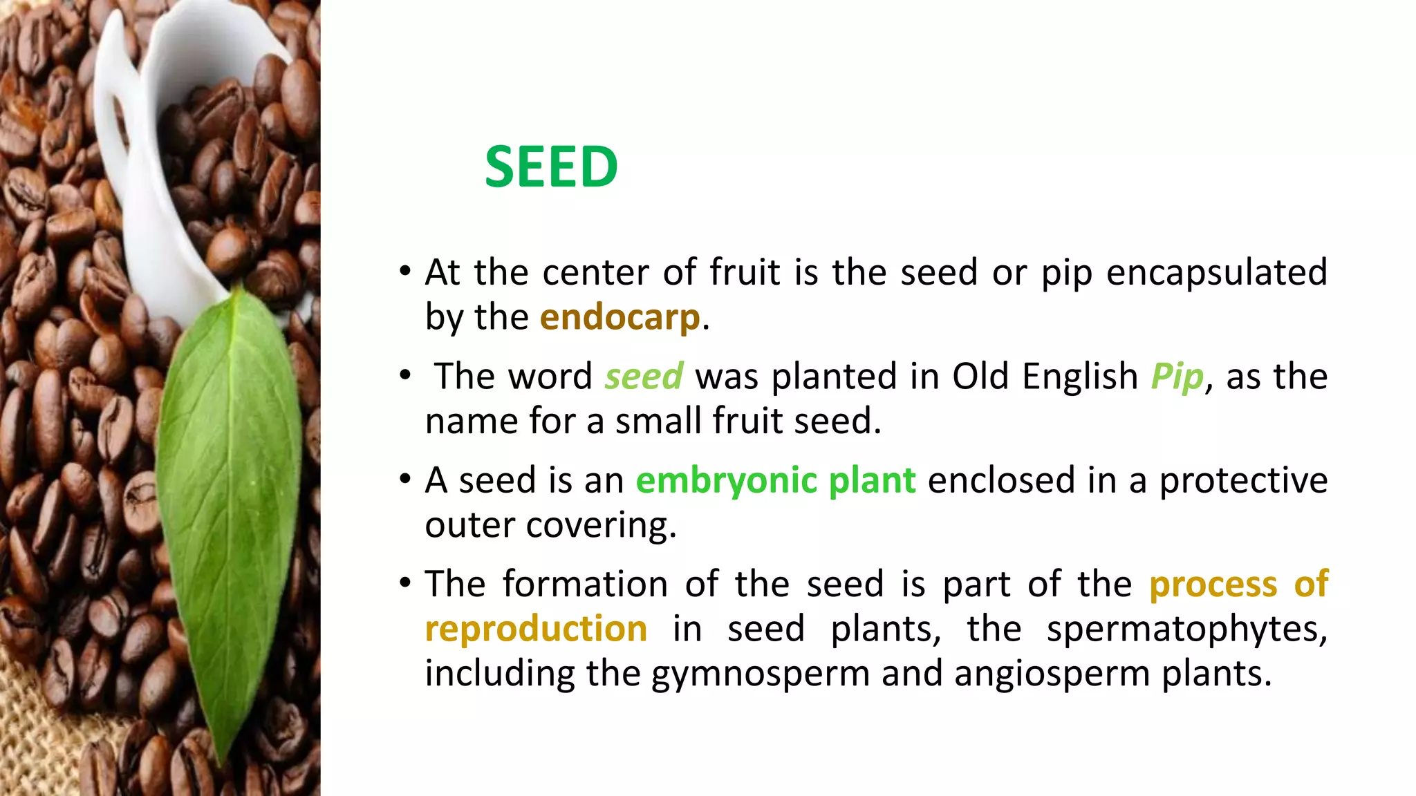Anatomy and reproductive part of fruit | PPTX