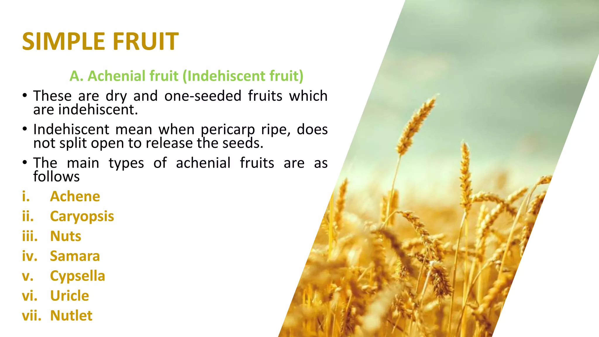 Anatomy and reproductive part of fruit | PPTX