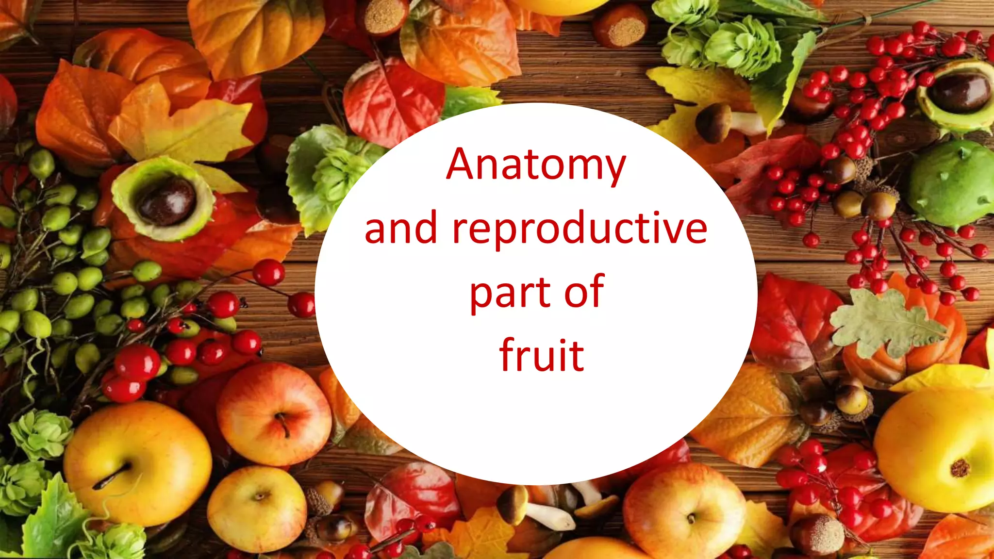 Anatomy and reproductive part of fruit | PPTX | Gardening | Home & Garden