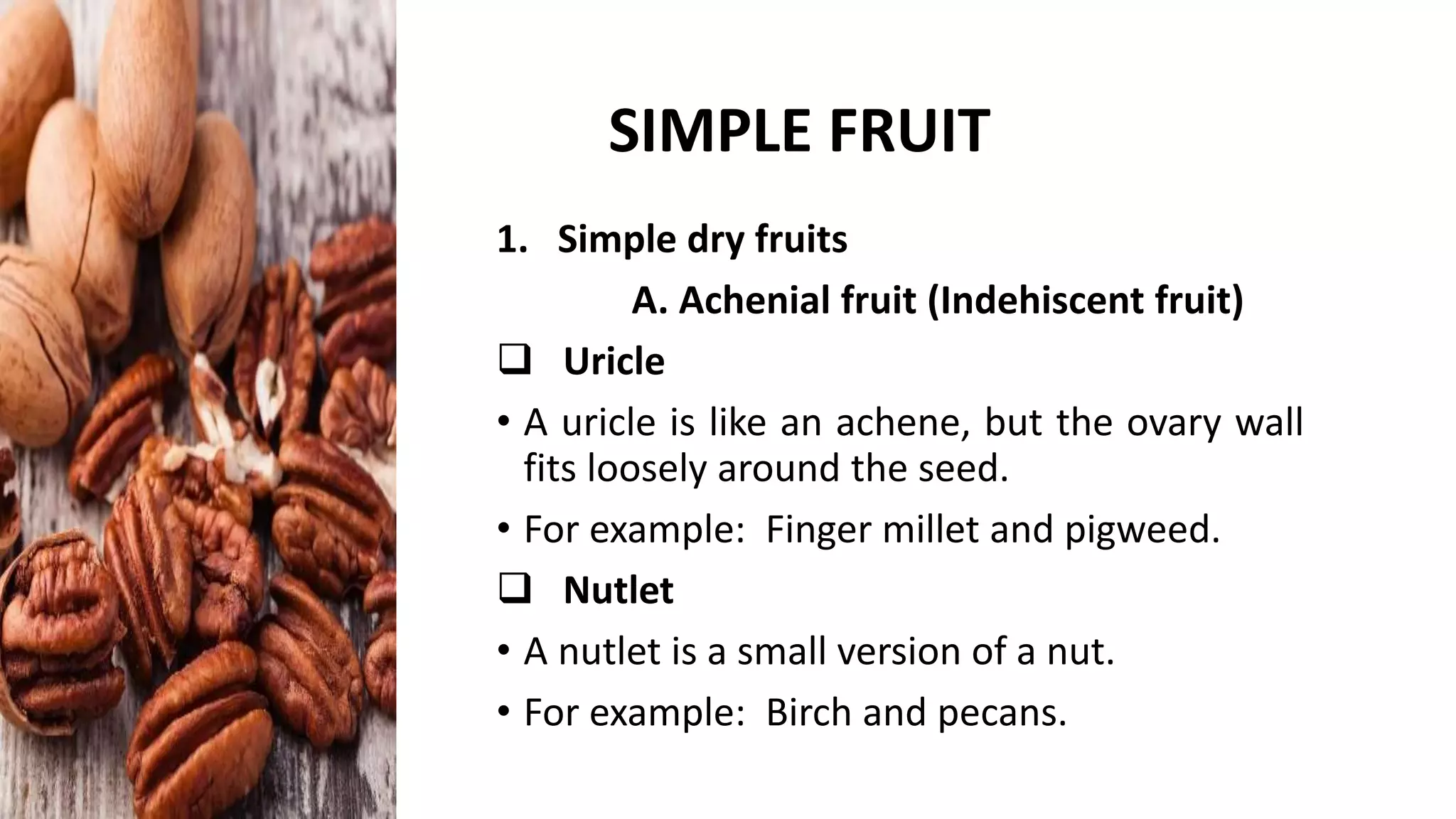 Anatomy and reproductive part of fruit | PPTX