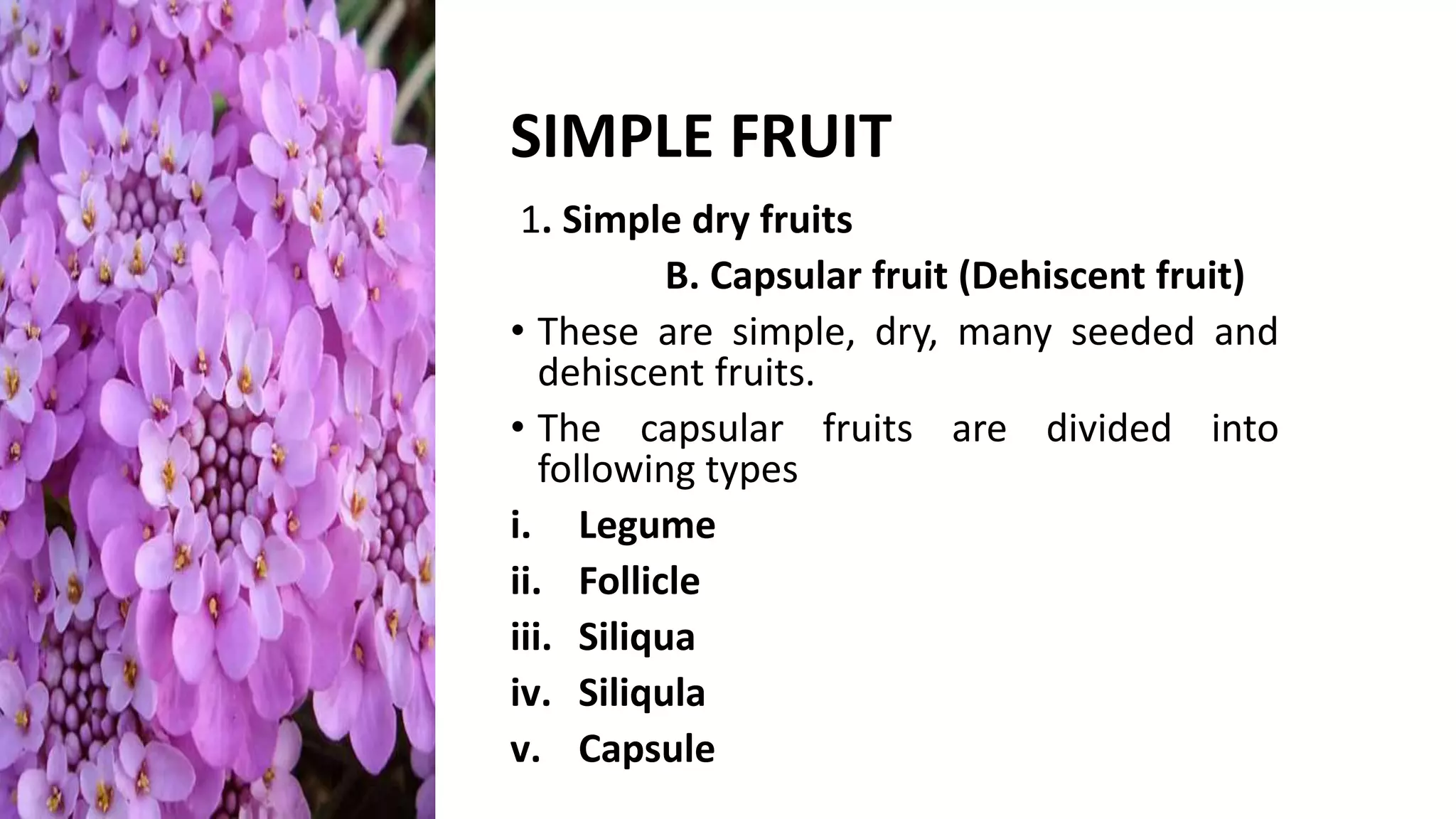 Anatomy and reproductive part of fruit | PPTX