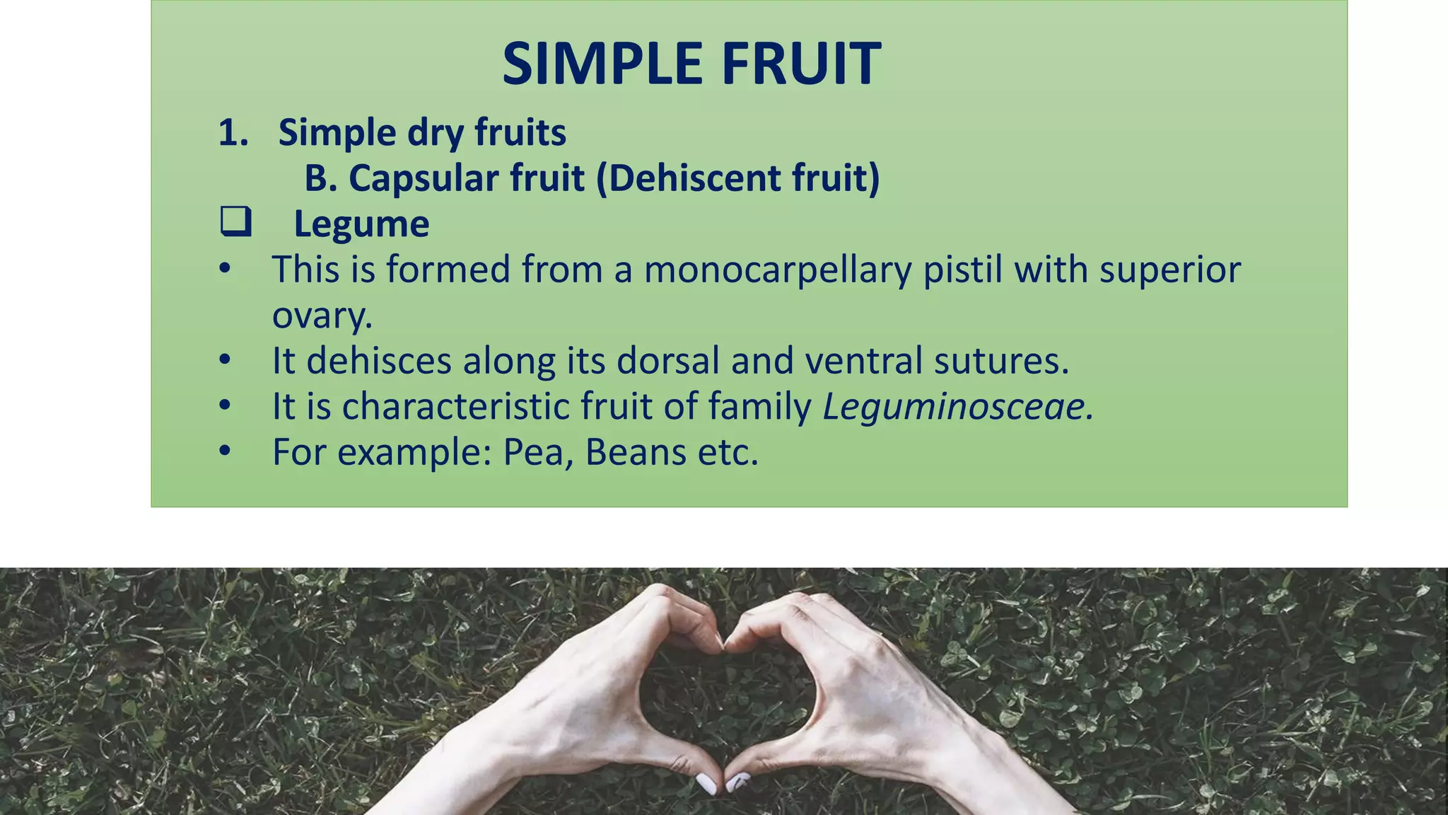 Anatomy and reproductive part of fruit | PPTX