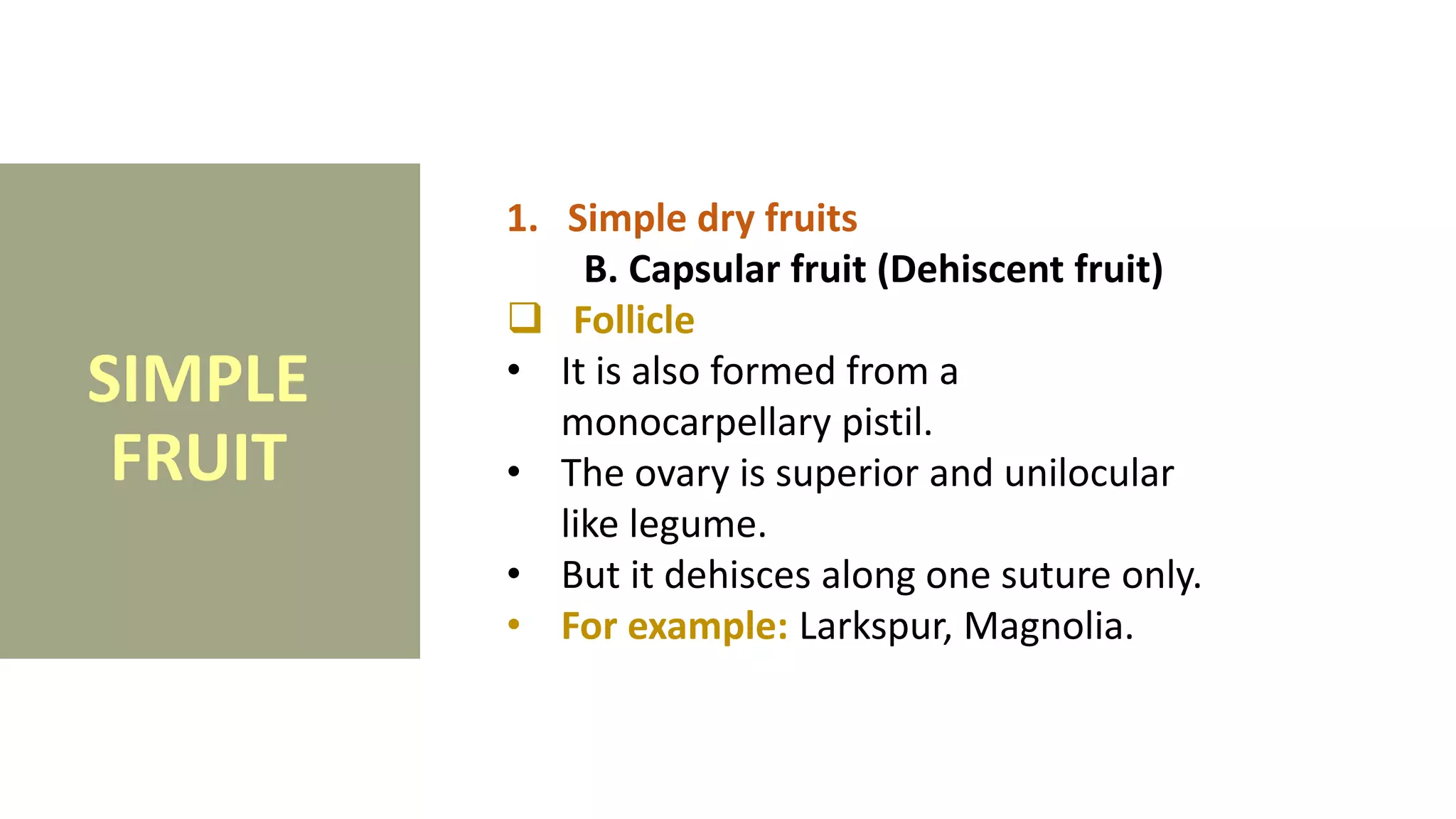 Anatomy and reproductive part of fruit | PPTX