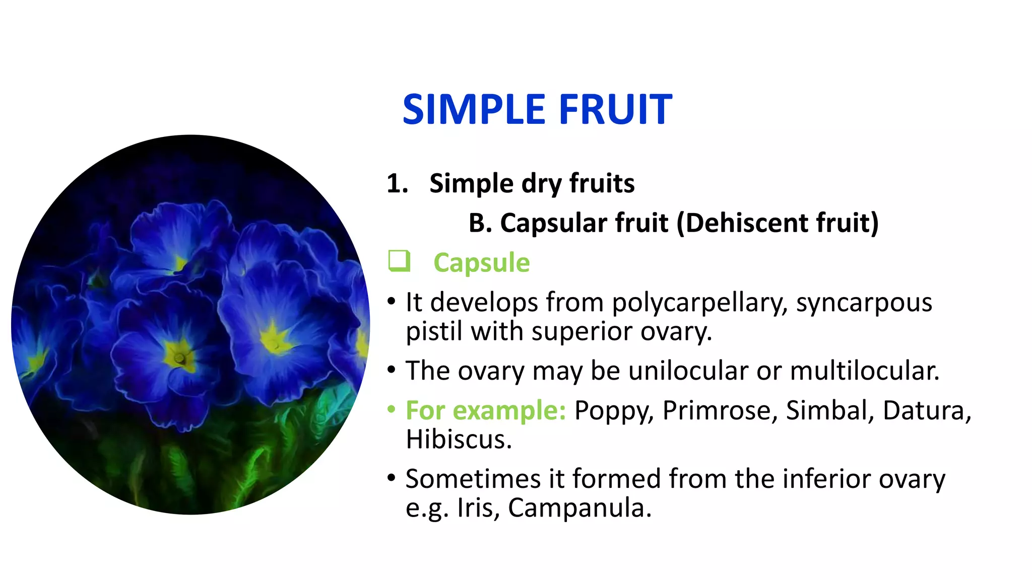 Anatomy and reproductive part of fruit | PPTX