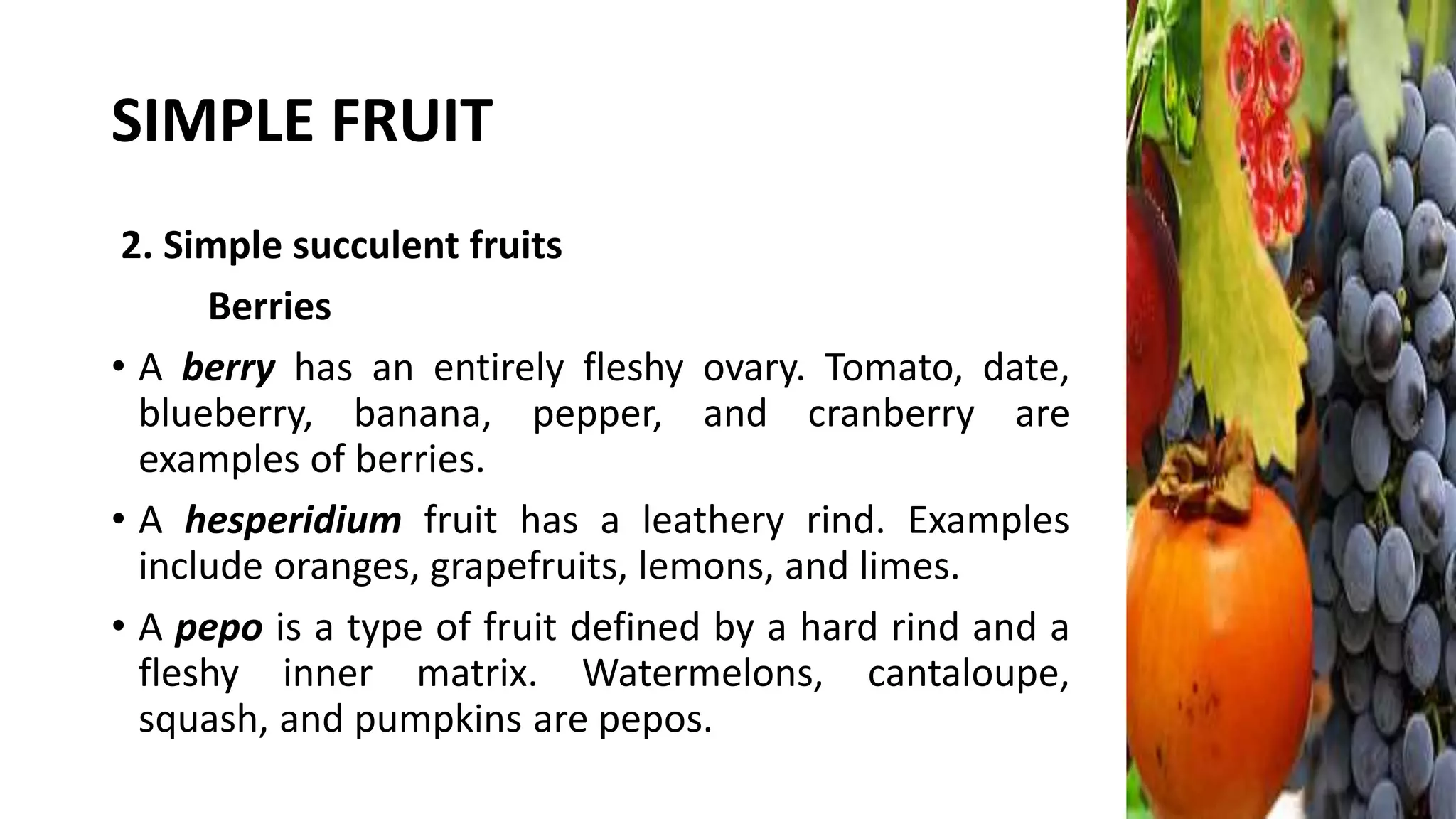 Anatomy and reproductive part of fruit | PPTX