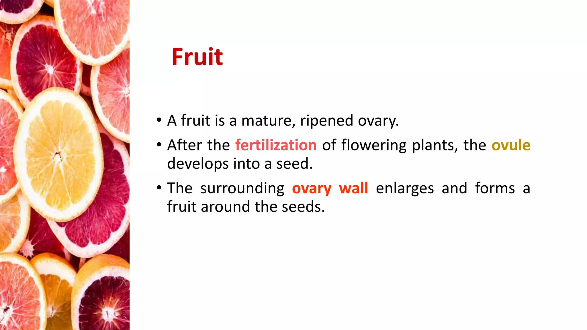 Anatomy and reproductive part of fruit | PPTX