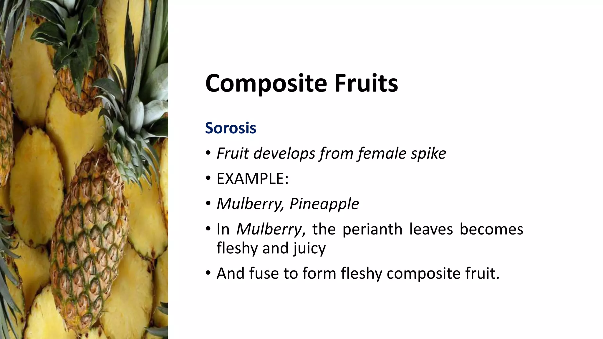 Anatomy and reproductive part of fruit | PPTX