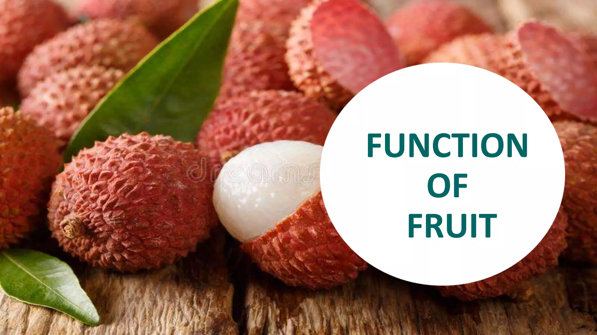 Anatomy and reproductive part of fruit | PPTX