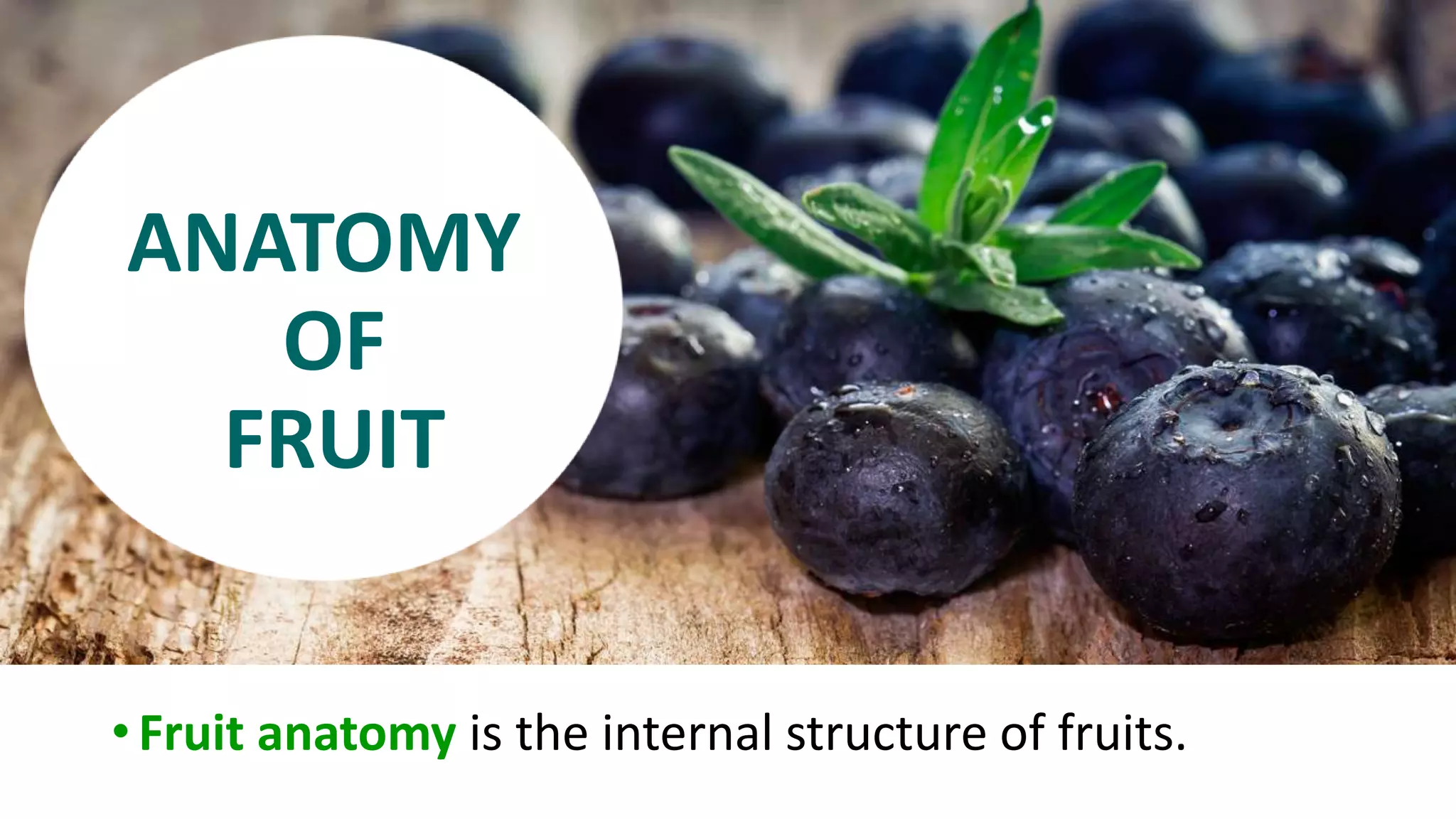 Anatomy and reproductive part of fruit | PPTX