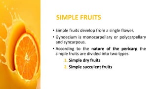 Anatomy and reproductive part of fruit | PPTX