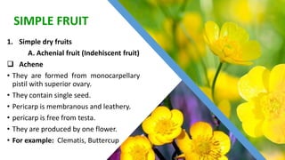 Anatomy and reproductive part of fruit | PPTX