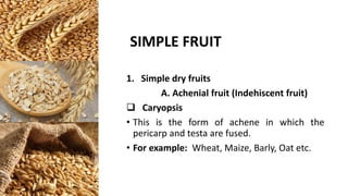 Anatomy and reproductive part of fruit | PPTX