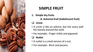 Anatomy and reproductive part of fruit | PPTX