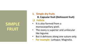 Anatomy and reproductive part of fruit | PPTX