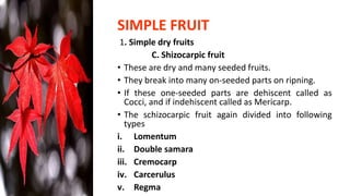Anatomy and reproductive part of fruit | PPTX