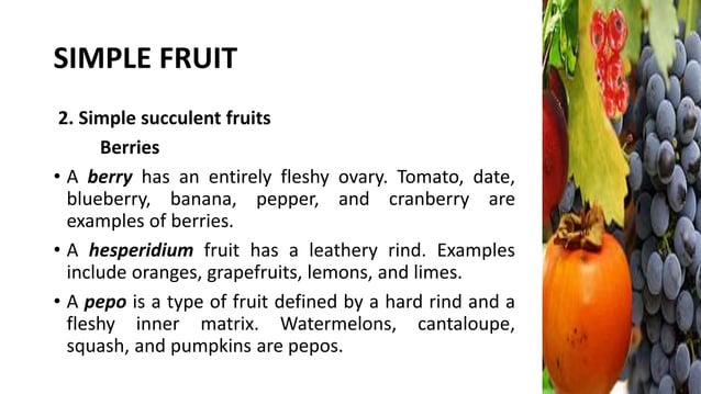 Anatomy and reproductive part of fruit | PPTX | Gardening | Home & Garden
