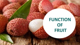 Anatomy and reproductive part of fruit | PPTX