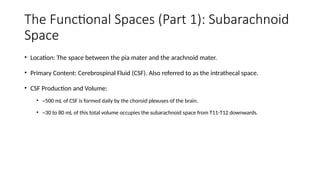 Anatomy and Sonographic Anatomy of the Vertebral Column.pptx